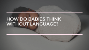 How Do Babies Think Without Language?